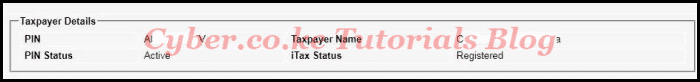 How To Confirm The Validity Of KRA PIN Using iTax PIN Checker