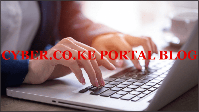 How To Use KRA iTax PIN Checker Functionality On iTax Portal