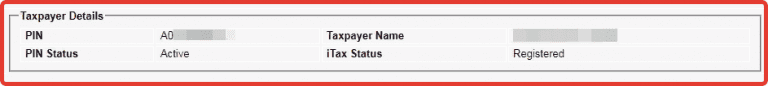 How To Check and Confirm Your KRA PIN Using iTax PIN Checker