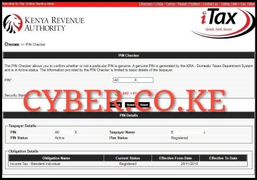 How To Check KRA PIN Number Status Online (In 4 Steps)