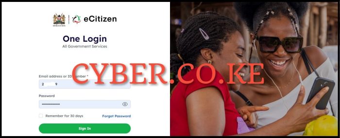 How To Change eCitizen Account Email Address