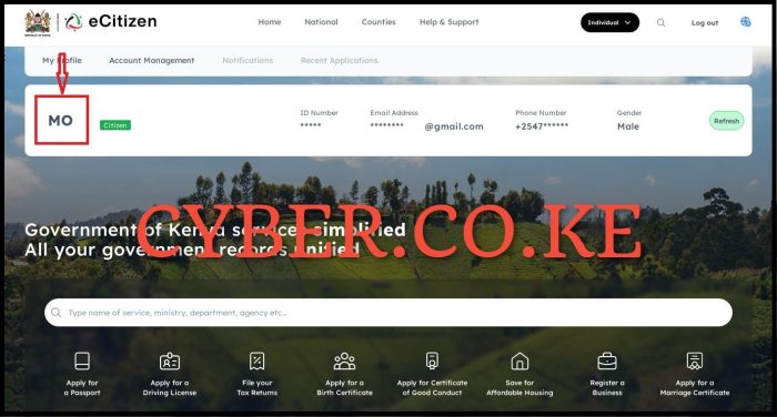 How To Change Passport Photo On eCitizen Account