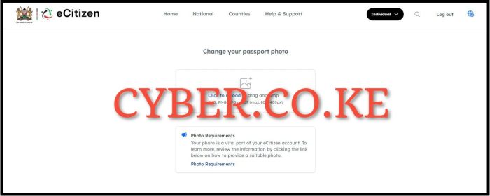 How To Change Passport Photo On eCitizen Account
