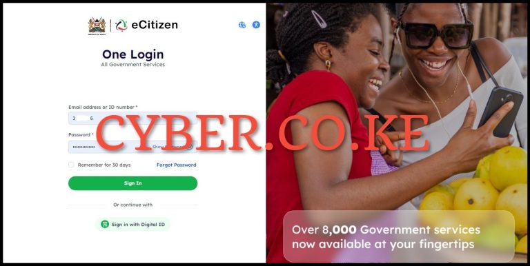 How To Apply For KRA PIN Using eCitizen