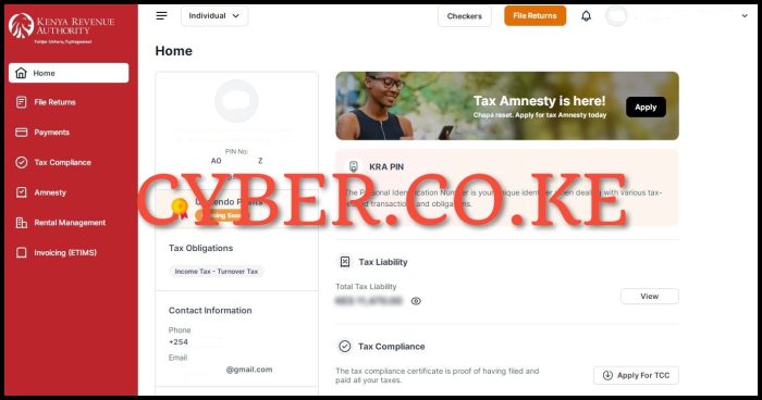 How To Register for eTIMS using eCitizen (Non VAT Taxpayers)